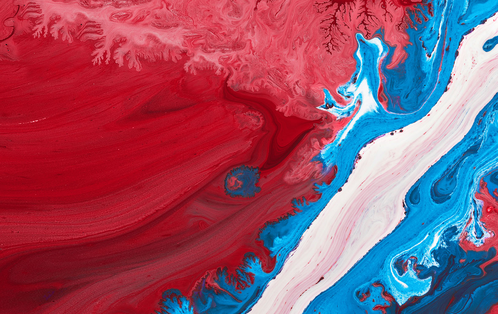 IMCD - Leading Speciality Chemicals & Ingredients Distributor